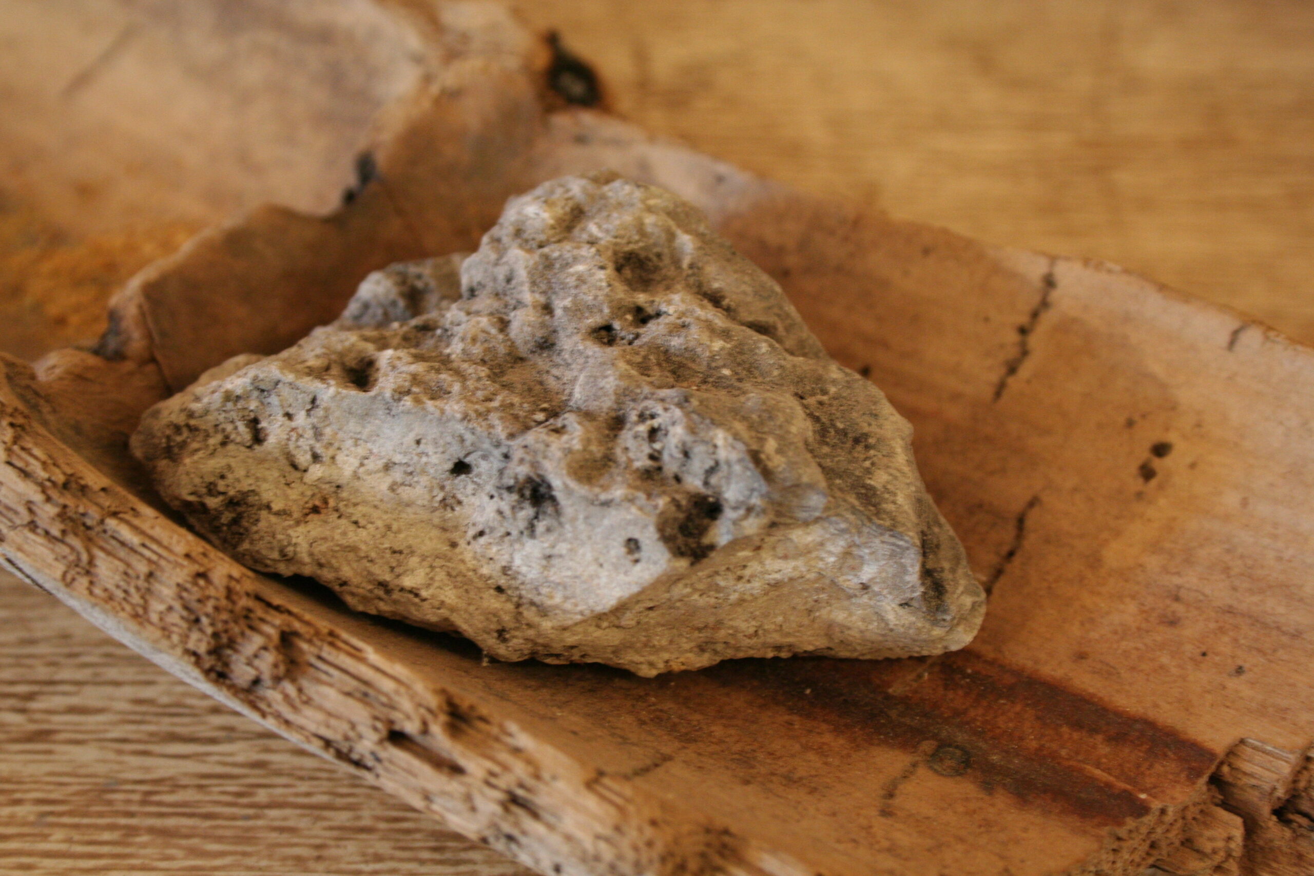 Kandea du Gabon- 30 grammes - Arboressences.org